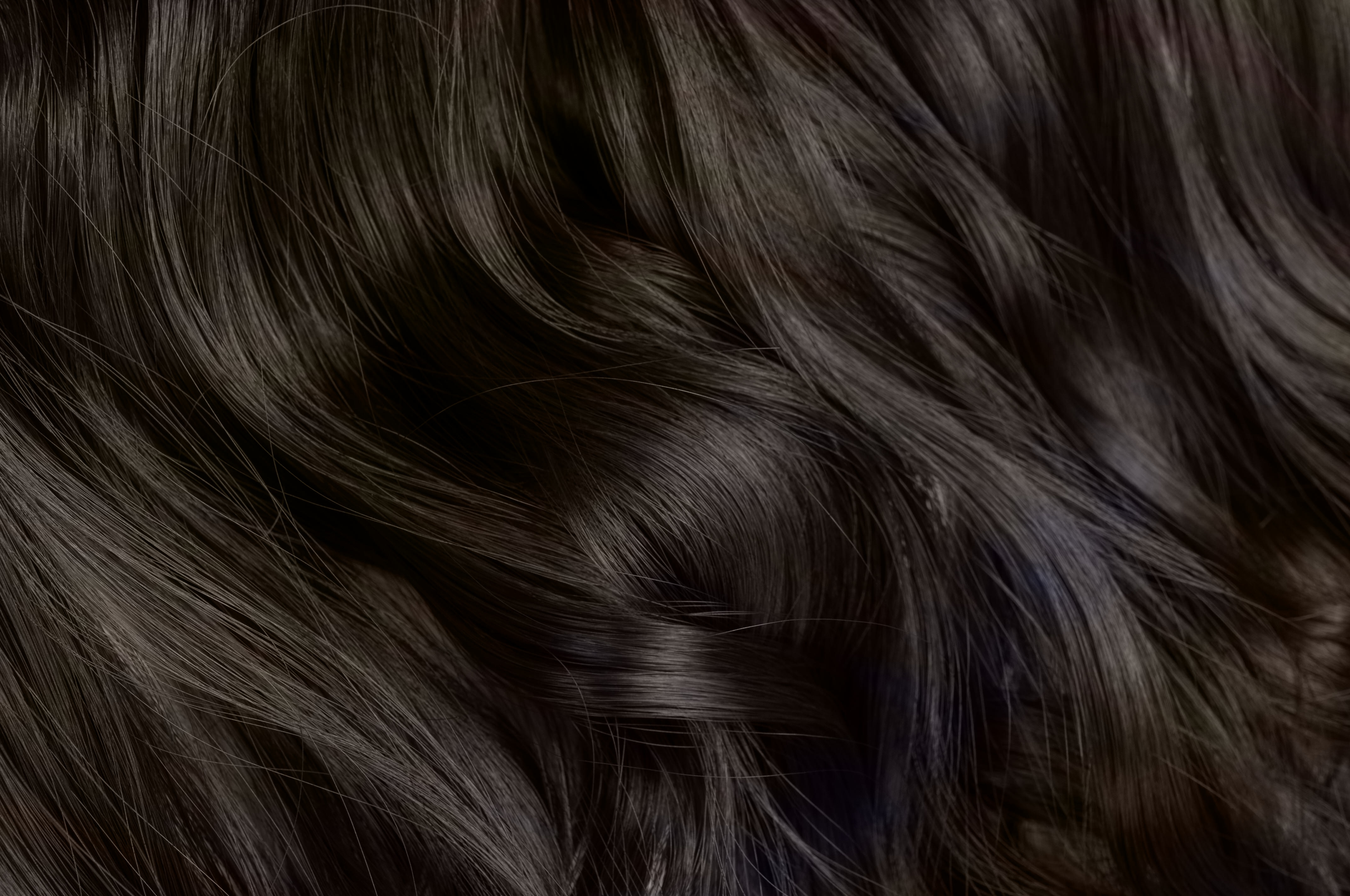 Warm Brown Color
